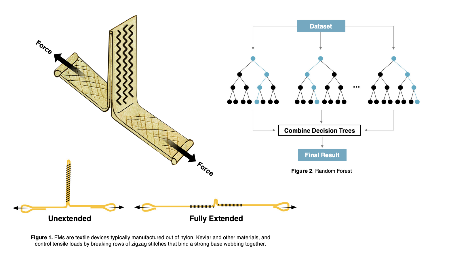 Statistical Analysis Using Random Forest Algorithm Provides Key